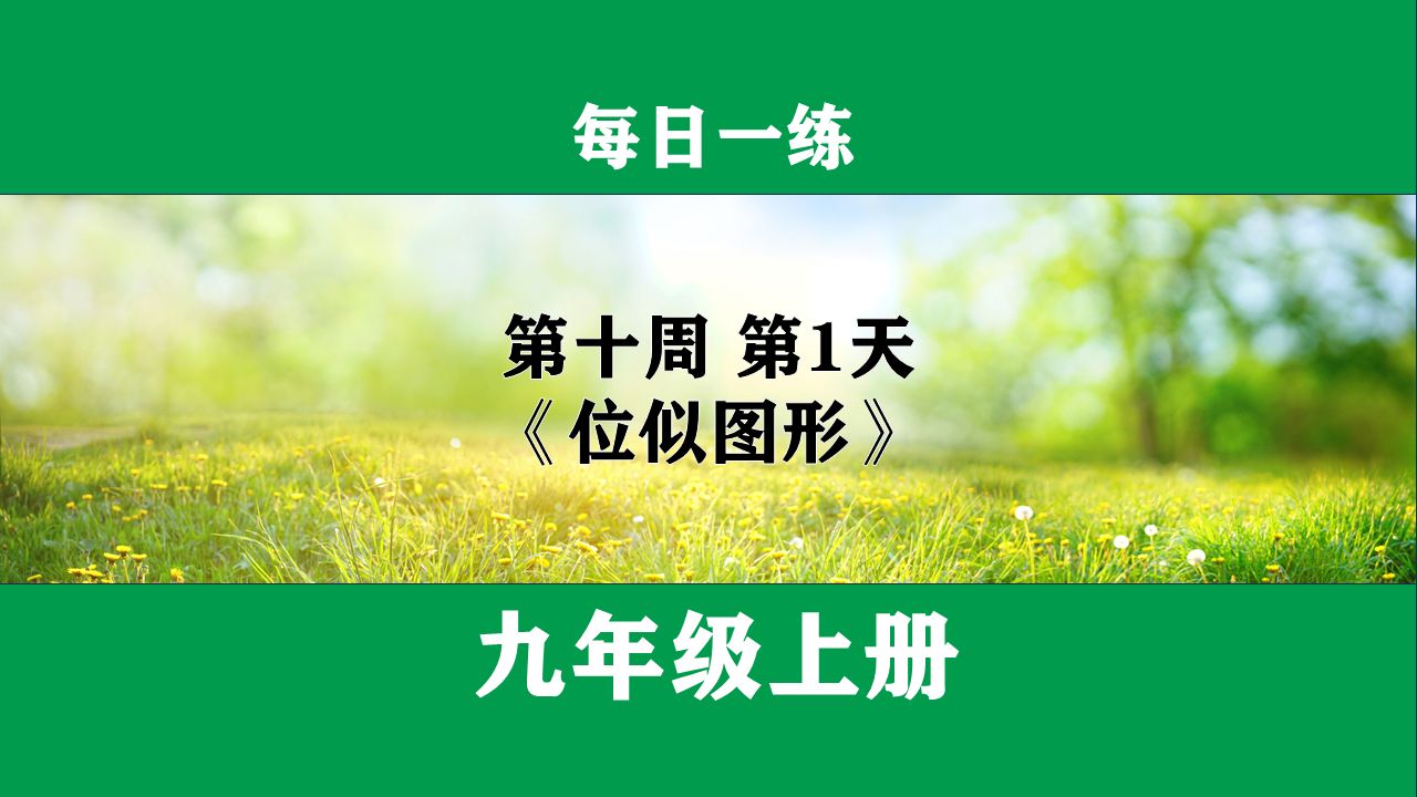九年级每日一练(十-1)【位似图形】