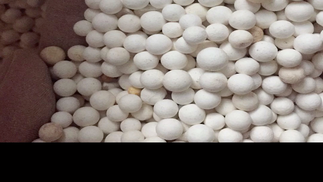分子筛的微观结构