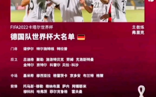 卡塔尔世界杯各国家阵容