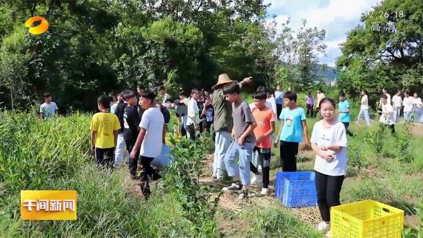 江华一中学开设劳动实践课,让学生在田间地头感受耕读快乐