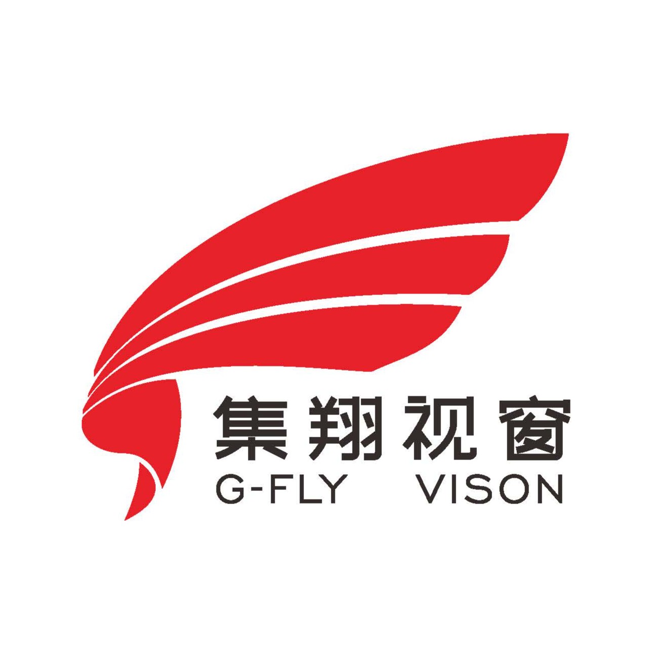 宁波集翔视窗文化传媒 