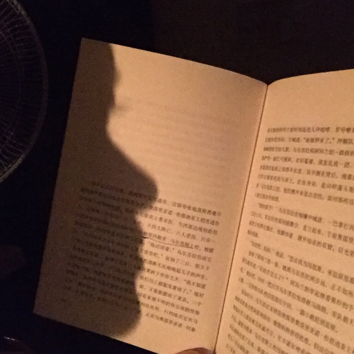 Dyney学而时习之 