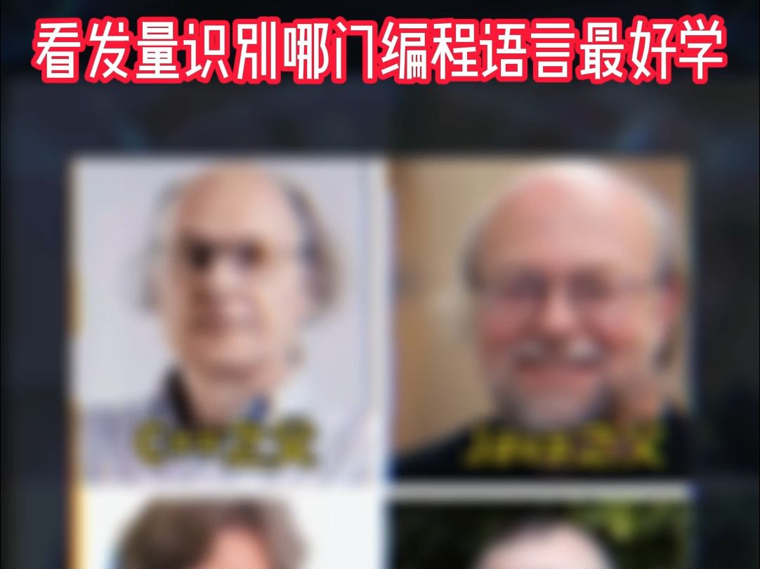 《年度最佳python宣传海报》