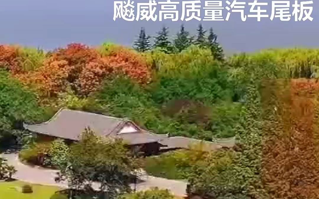 ...飚威高质量汽车尾板!飚威高质量汽车尾板,服务网点多,安装服务都方便