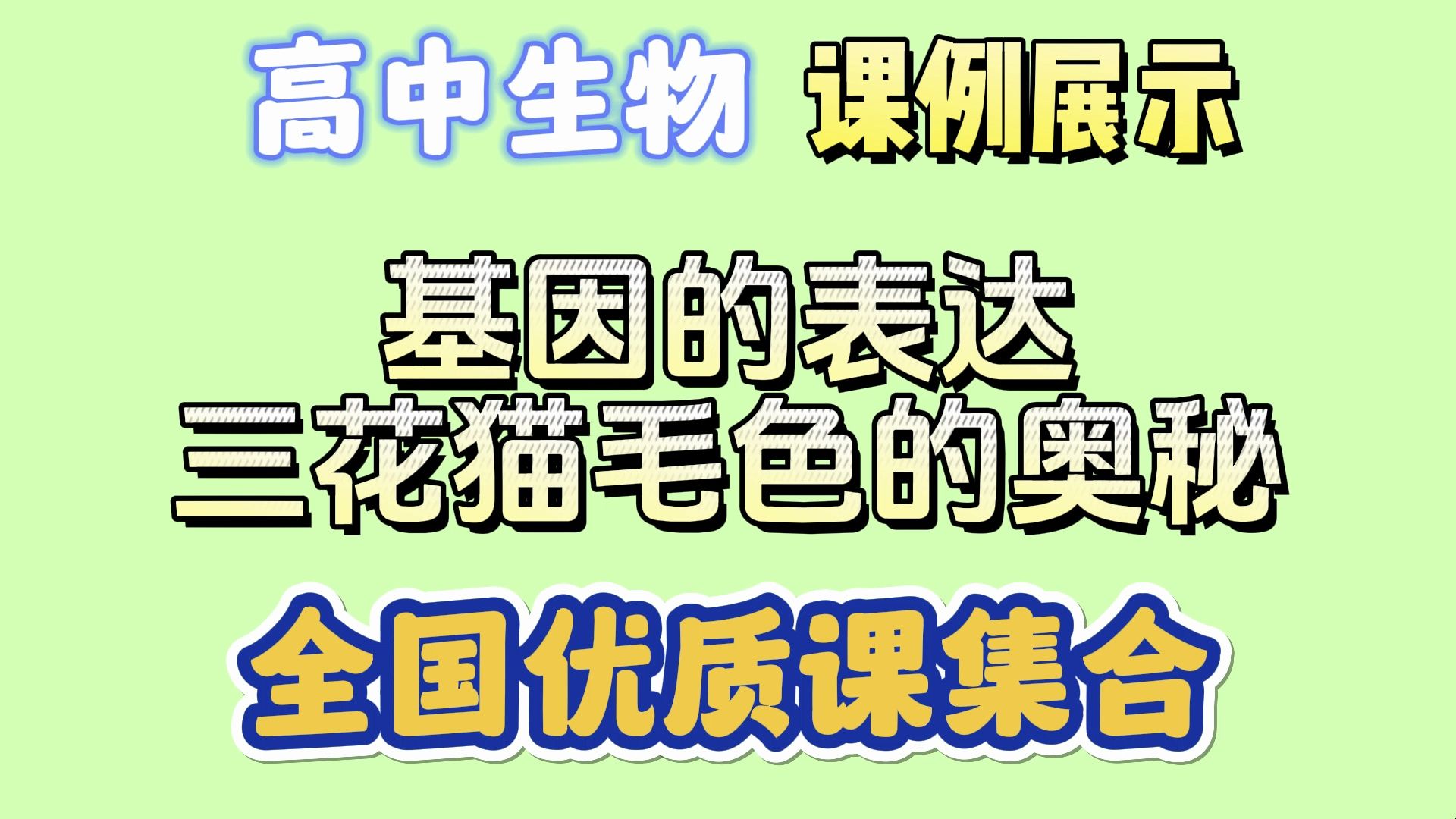 ...大单元教学 公开课 展示课 示范课 优质课 课堂教学 教学视频 课堂...