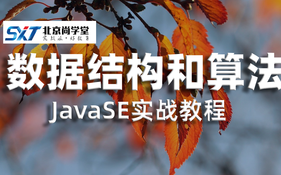 JavaSE数据结构和算法教程_JavaSE数据结构和算法视频教程_理解...