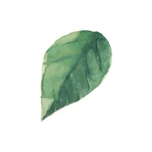 叶楠Yein 