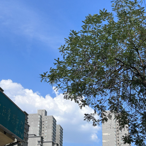季风熙熙 
