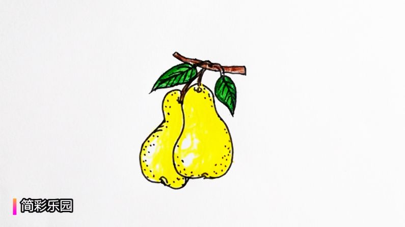 画梨简笔画 幼儿早教绘画 教宝宝轻松画梨