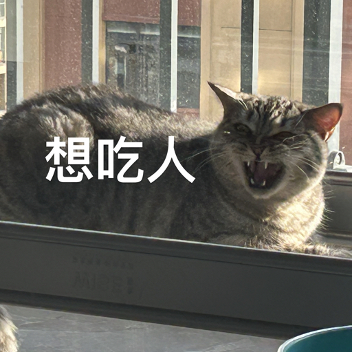 呆呆萌萌小柚子 