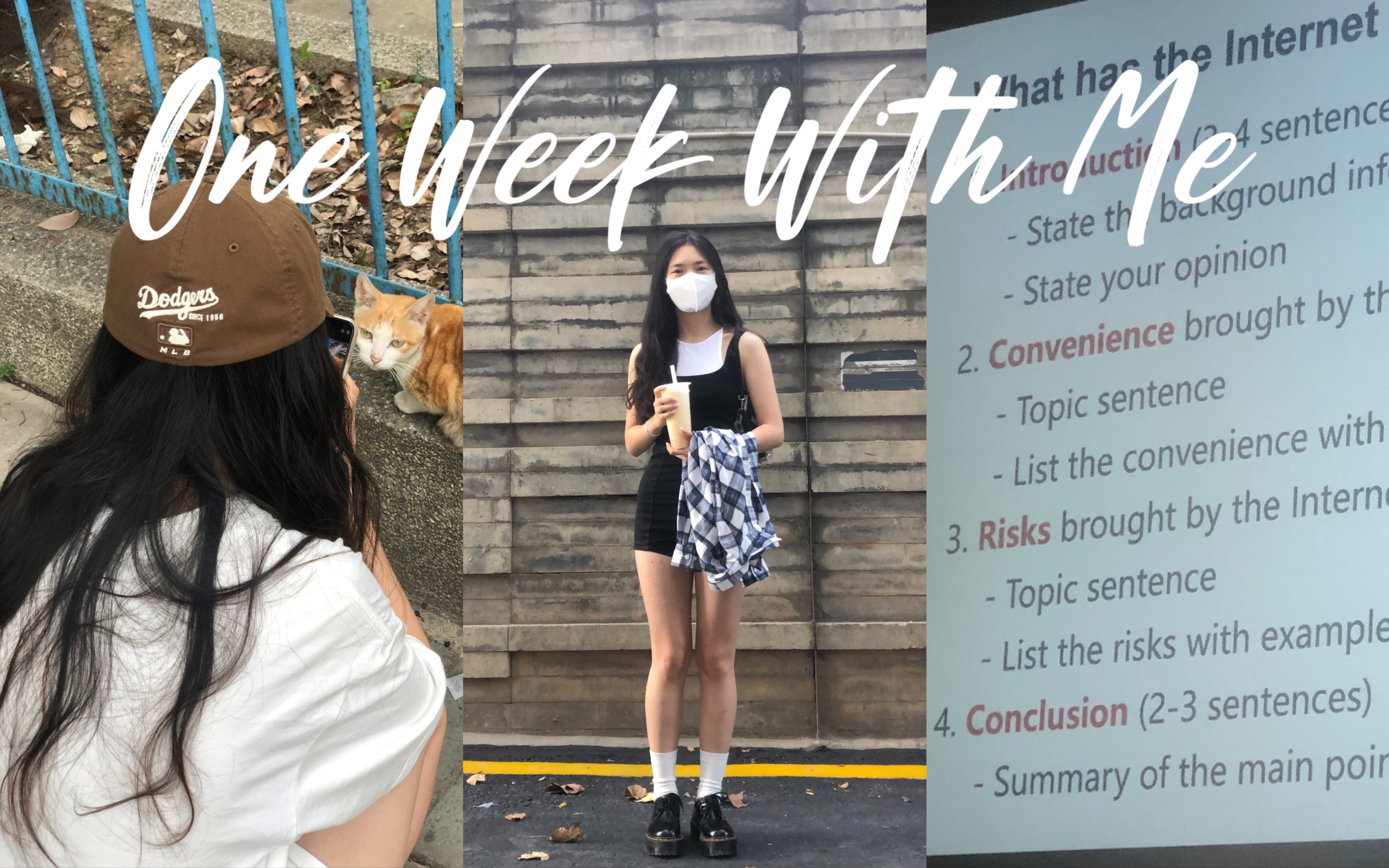 日常vlog|研究生学习生活记录|充实的小日子|快乐读研生活