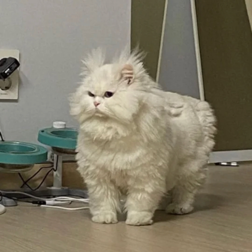 大晗同学 