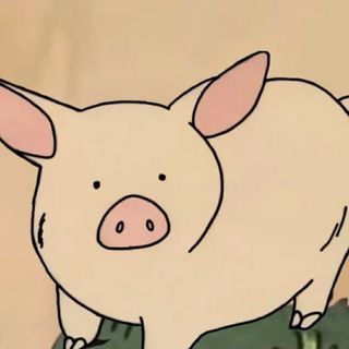 小花动画达人 