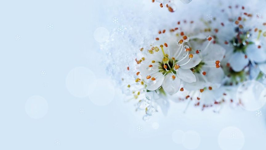 结语1 气血疏通第12期手指耳穴疗法高级班面授精彩回顾
