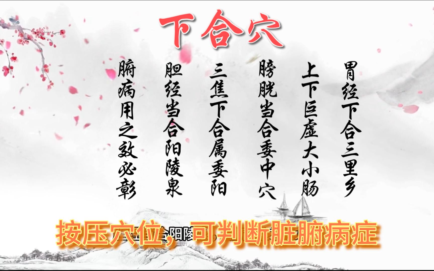 下合穴 可判断脏腑病变 合治内腑 募合配穴