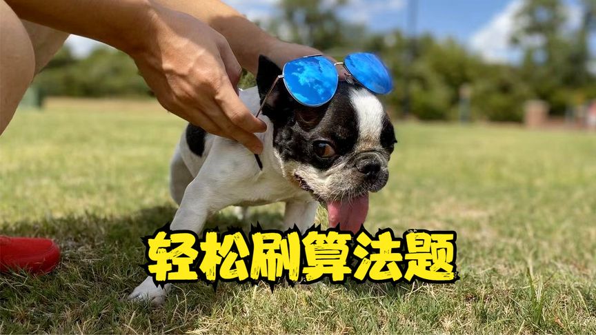 帮你拿offer -- 带你刷算法题 # 计算机