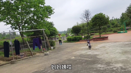 全网最勤快的一群堂客们,挖一块红薯地,气氛搞得好嗨