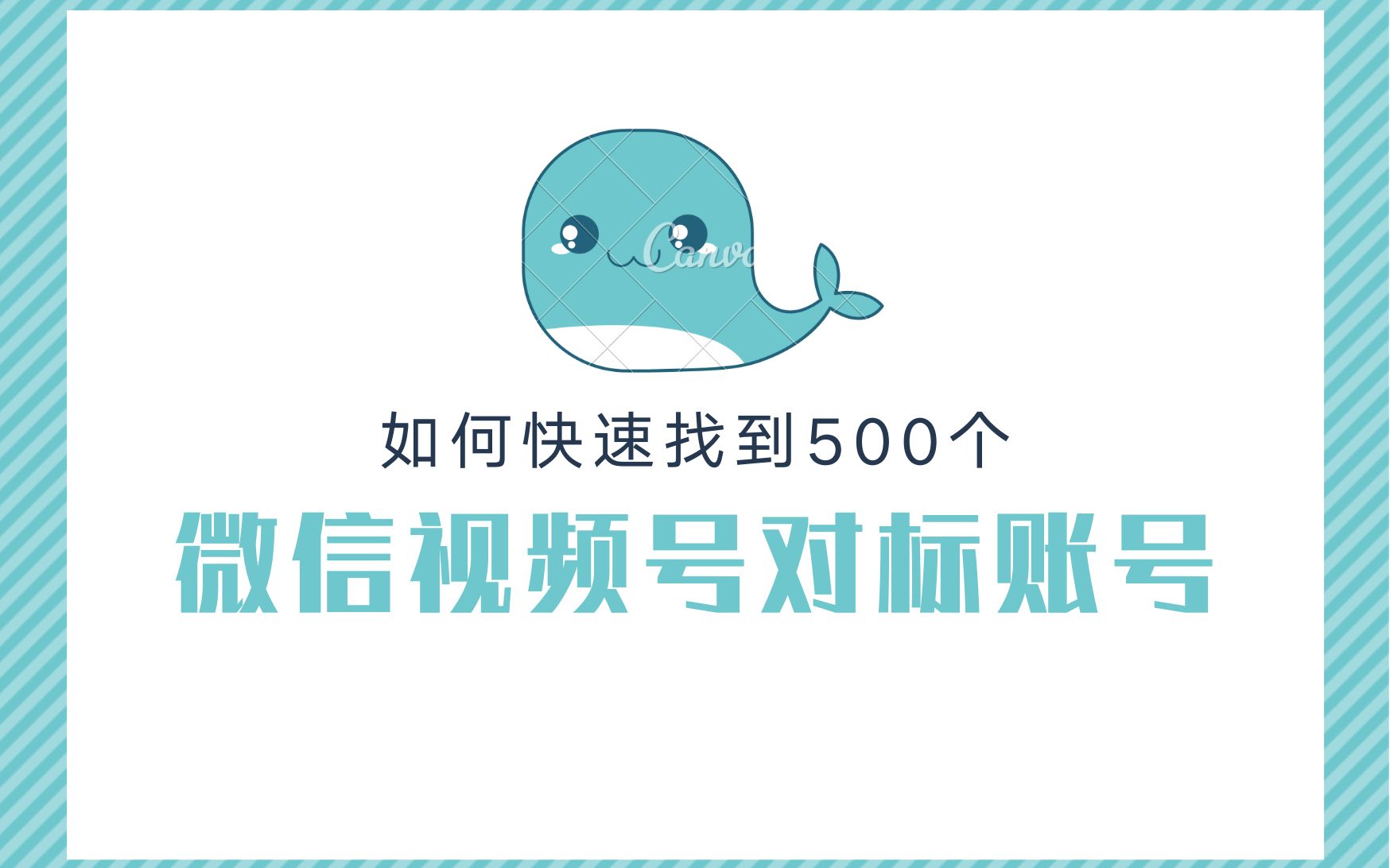 如何快速找到500个视频号的对标账号?