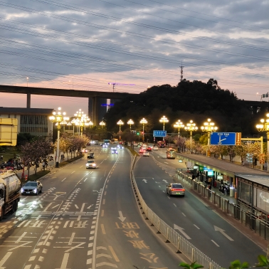 要记住大慈树王 