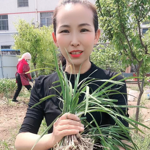 马姐教种菜 