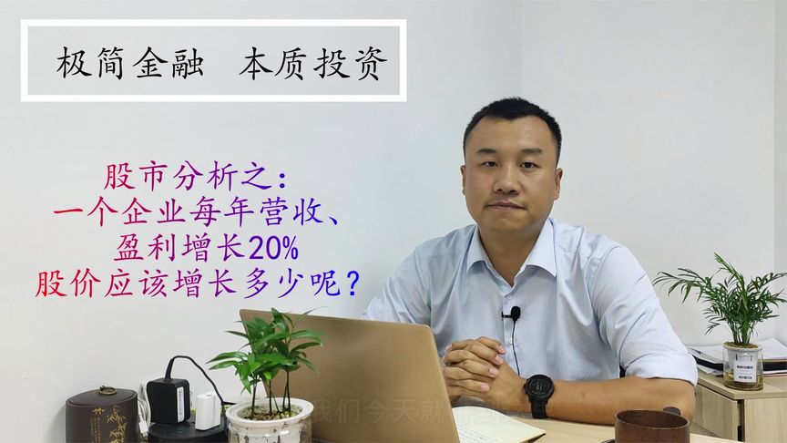 股市分析:一个企业每年营收,盈利增速20%,股价应该涨多少呢?