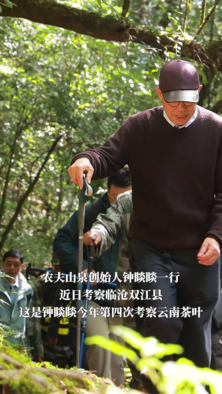...推动古茶树资源保护与利用高质量发展,共同守护茶树"天然基因库",向...