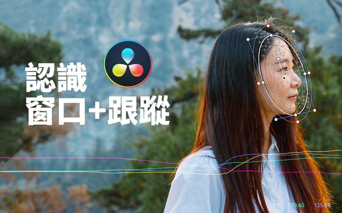 一节你必须要了解的达芬奇基础课(六)——窗口+跟踪