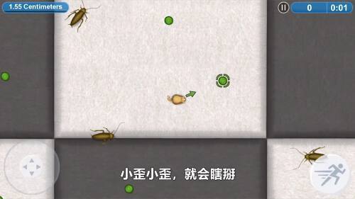 小猫模拟器!我变成一只小花猫,一口吃掉一只老鼠
