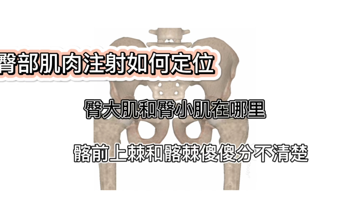 臀部肌肉注射怎么定位