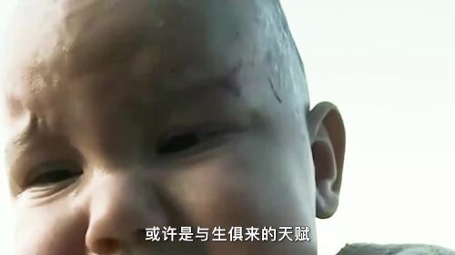 婴儿刚一出生,长了个猪尾巴,最后被自己养的猫生吞!1