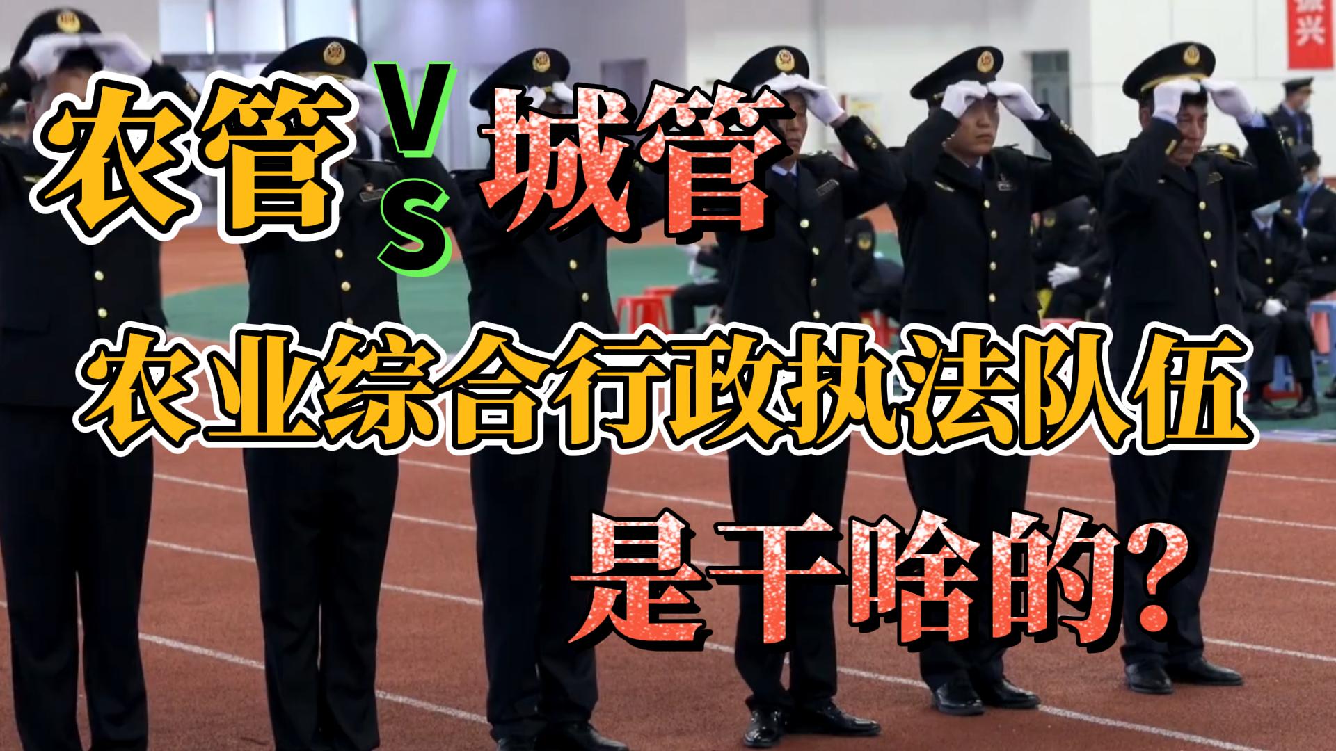 热议丨“农管”PK“城管”!农业综合行政执法队伍到底是干啥的?