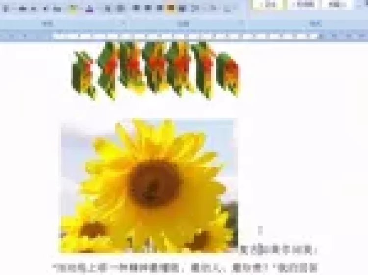零基础学office办公软件入门教程第02课-Word图片和艺术字排版-1-2