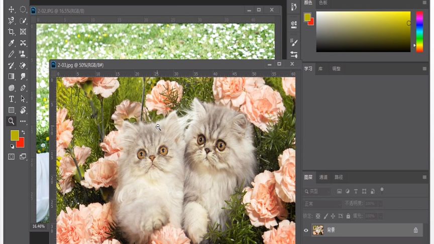 ps中图像缩放平移与旋转和排列——Photoshop cc2019从入门到精通