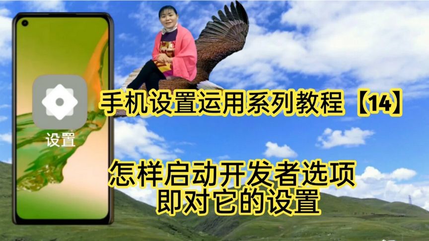 手机设置运用【14】,怎样启动开发者选项即对它的设置,应该掌握
