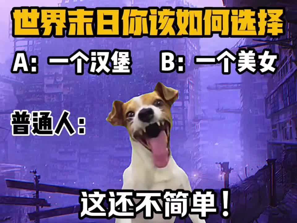 世界末日你该如何选择?