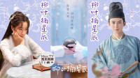 唐晓天 庄达菲《柳叶摘星辰》“夫人”竟是“江洋大盗”?与“巡察使...