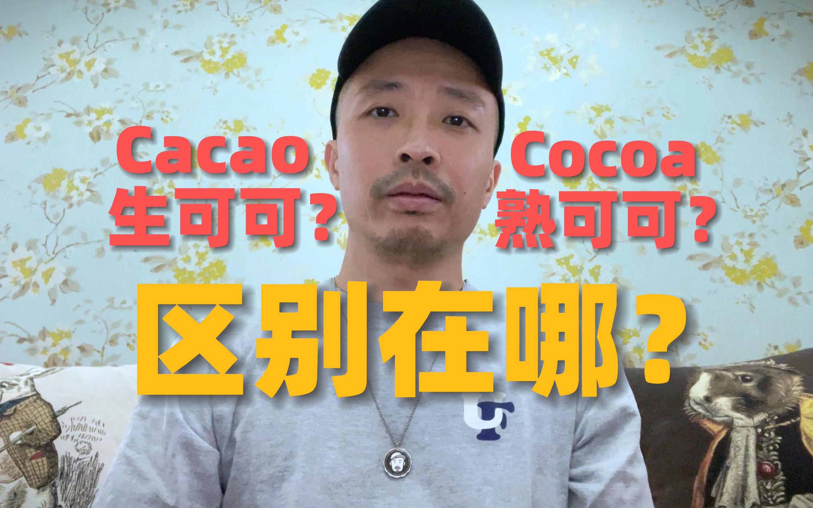 生可可和熟可可究竟是啥?cacao和cocoa究竟有啥区别?