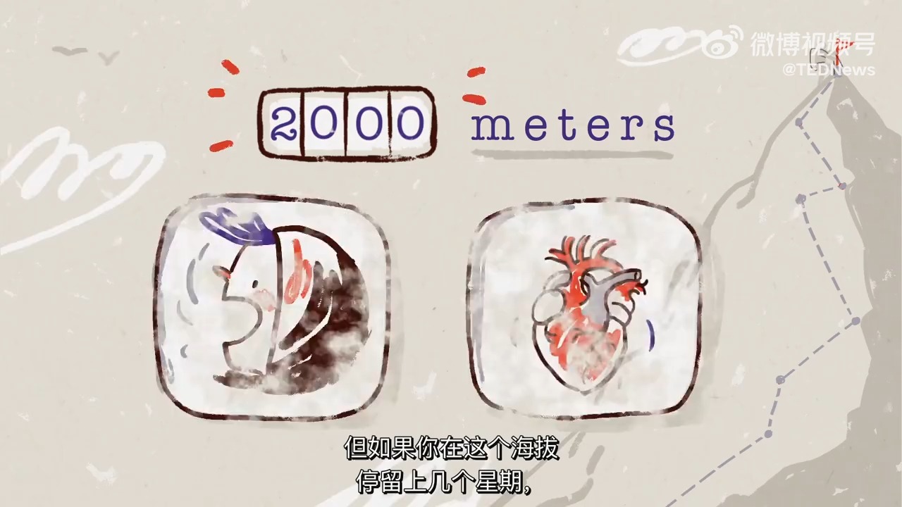 TED精选演讲100篇 | 完整标注PDF,探索全球顶尖思维ߒ