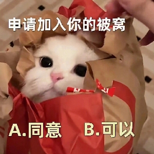 你要饭吗 