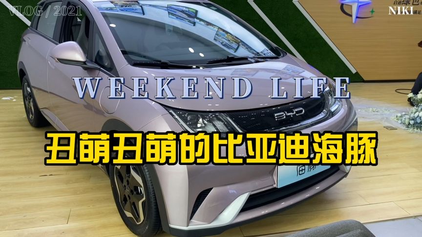 十万冒头的电动车!比亚迪海豚!续航三四百公里!丑萌丑萌哒