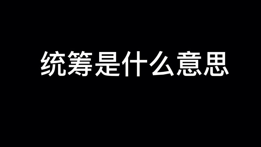 统筹是什么意思