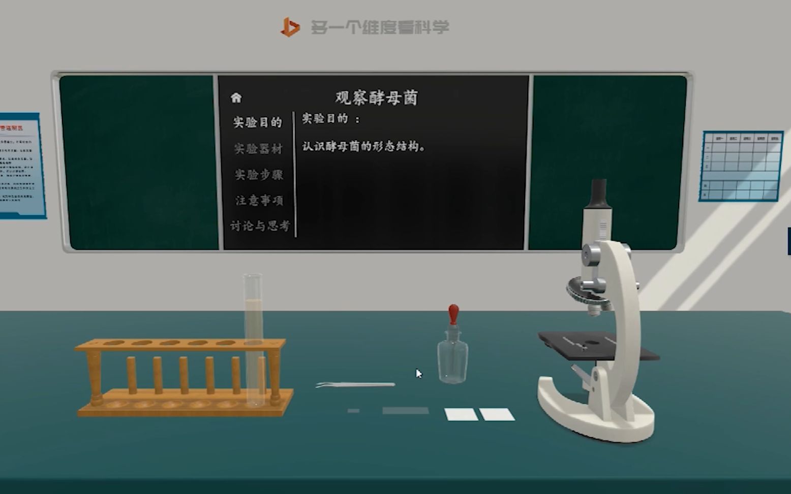 【橘老师实验室】观察酵母菌