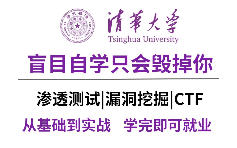 ...干货,从入门到入狱,零基础可学。漏洞挖掘|渗透测试|攻防演练|白帽子