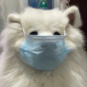 雾凇奇怪 