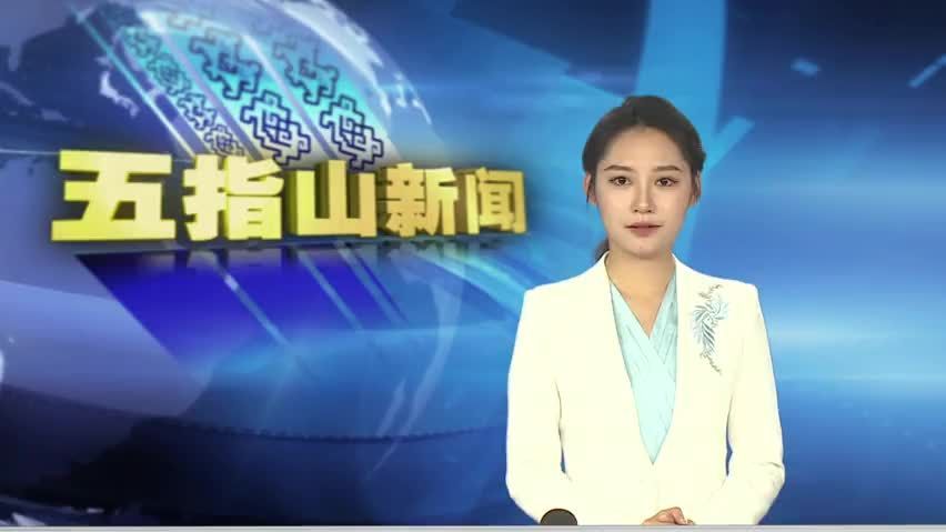 帕拉卡3D编程课程走进五指山市12所学校 赋能教育“后备力量”