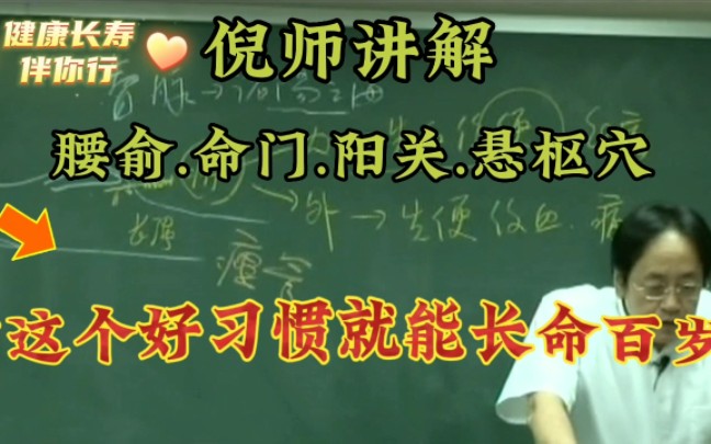 倪师讲解:腰俞.命门.阳关.悬枢穴。养成这个好习惯就能长命百岁。