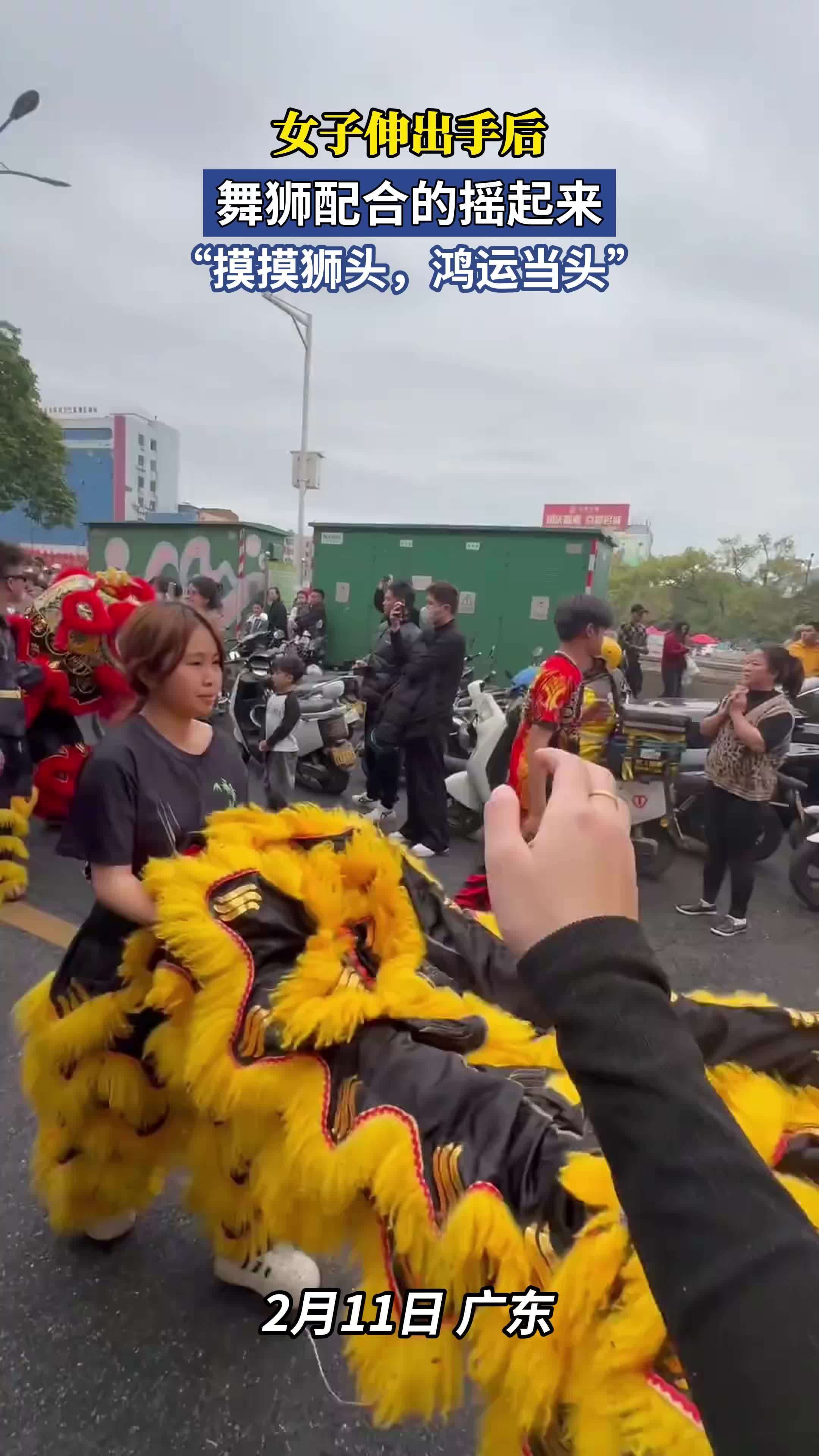 女子伸出手后,舞狮配合的摇起来,"摸摸狮头,鸿运当头"