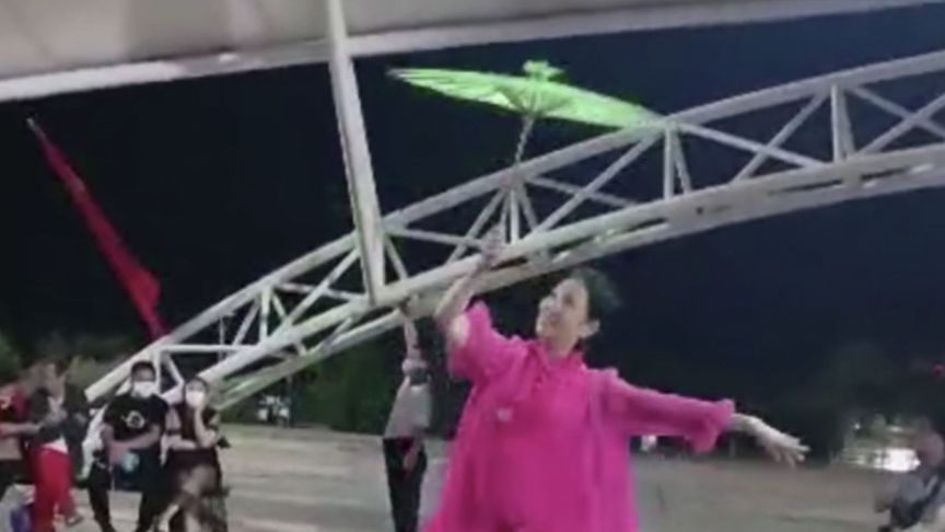 电吹管深情演奏(挡不住的思念)配上美女似蝴蝶般一样飞舞…