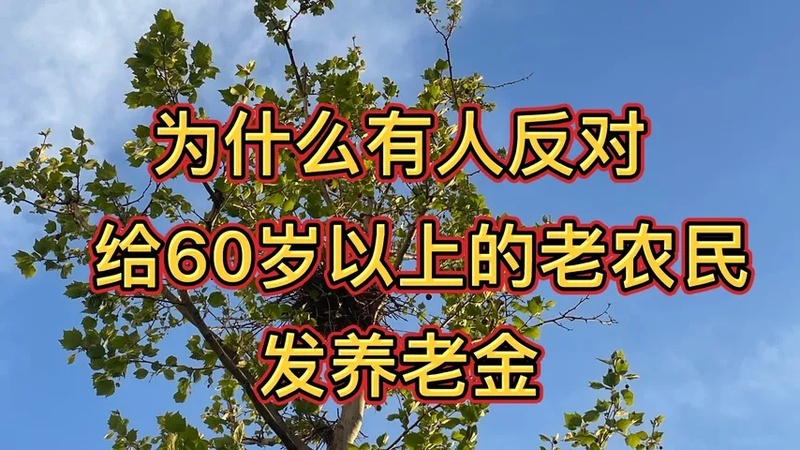 最低生活保障标准!