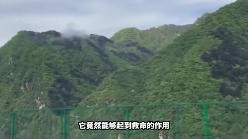 为何要标出长度?